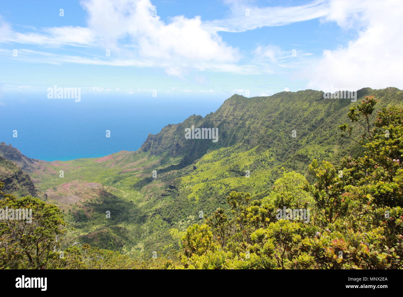 Views of the Na Pali Coast and the Kalalau Valley from Kokee State Park ...