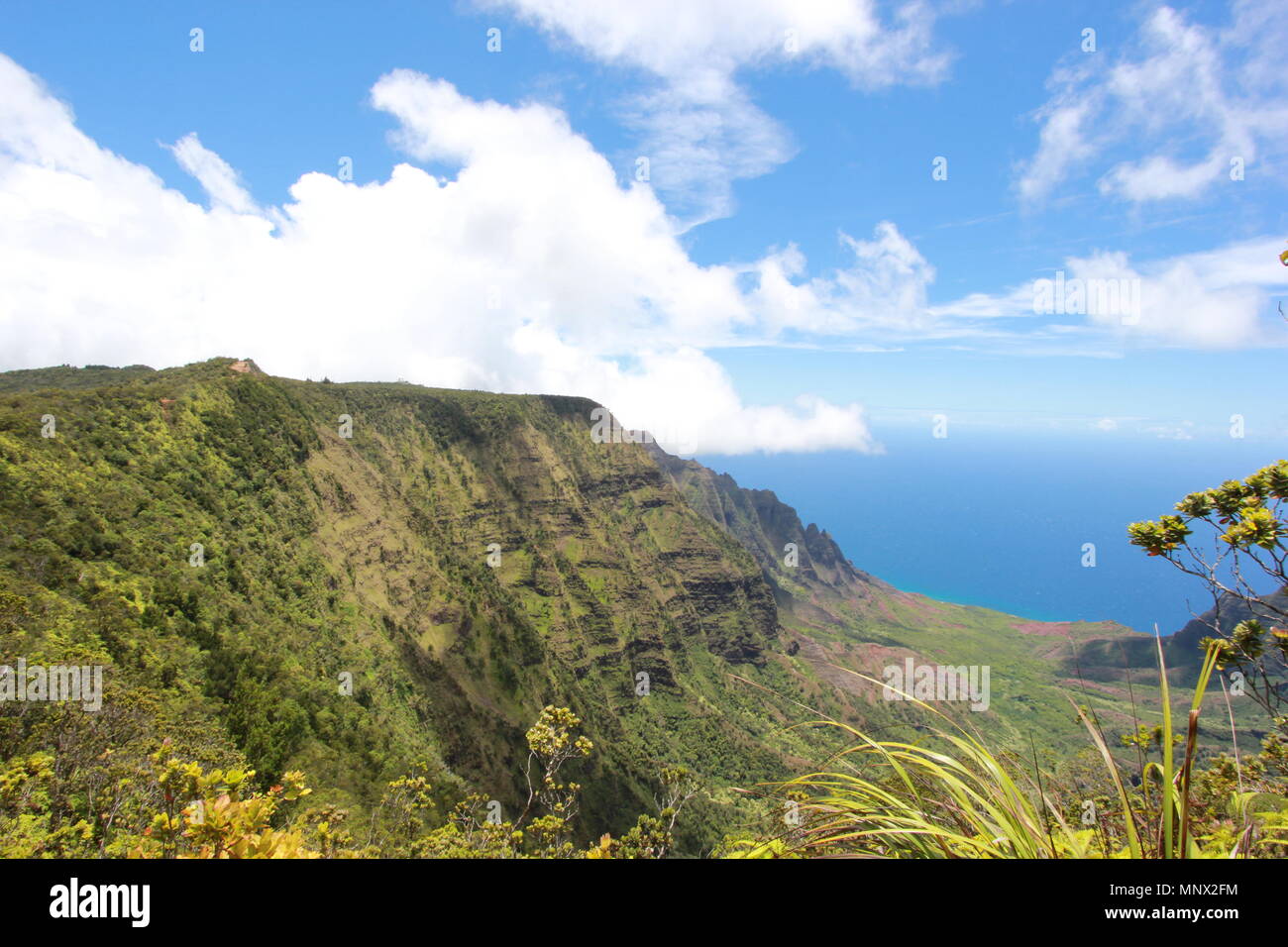 Views of the Na Pali Coast and the Kalalau Valley from Kokee State Park ...