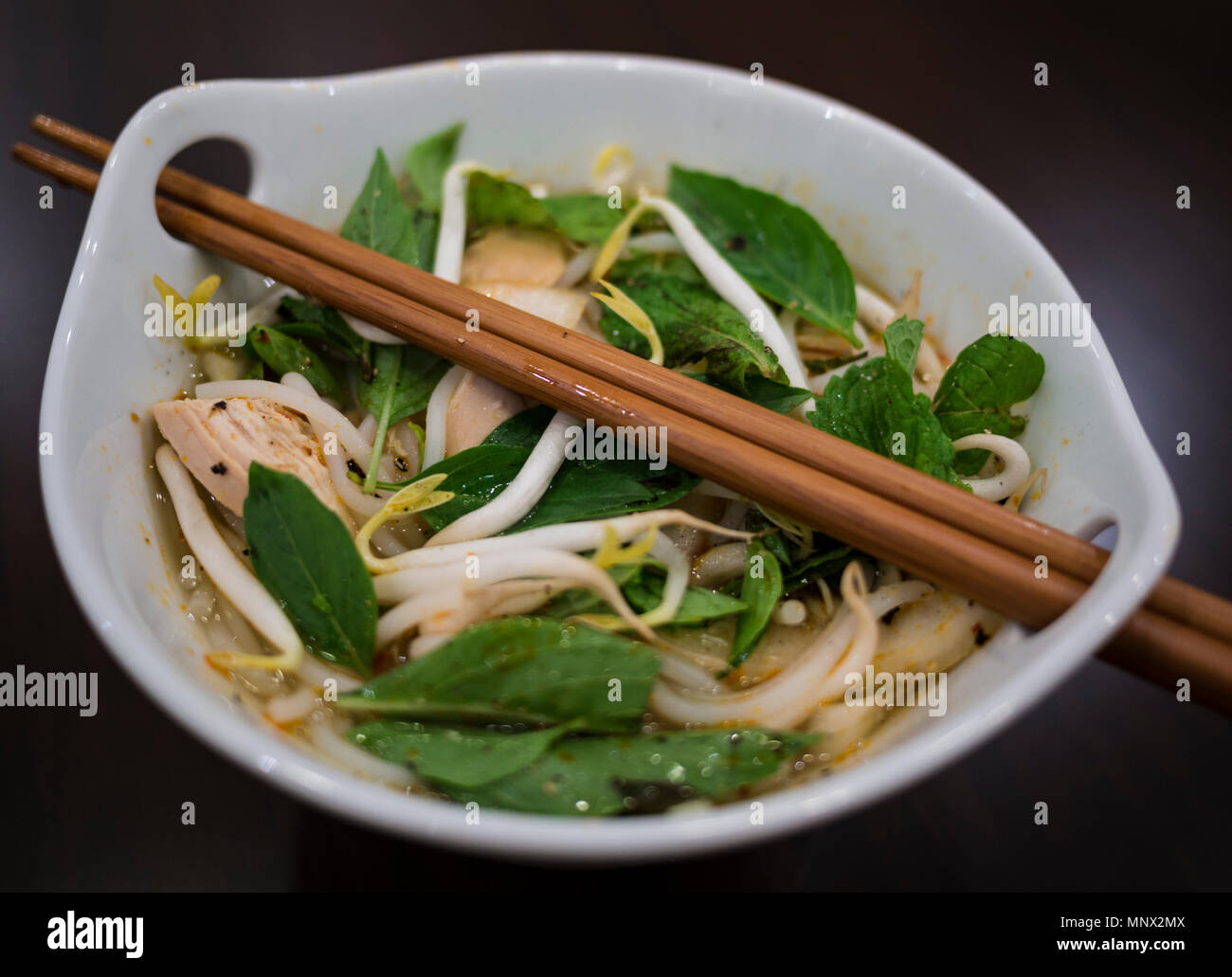 Beautiful and appetizing photo of a traditional vietnamese chicken ...