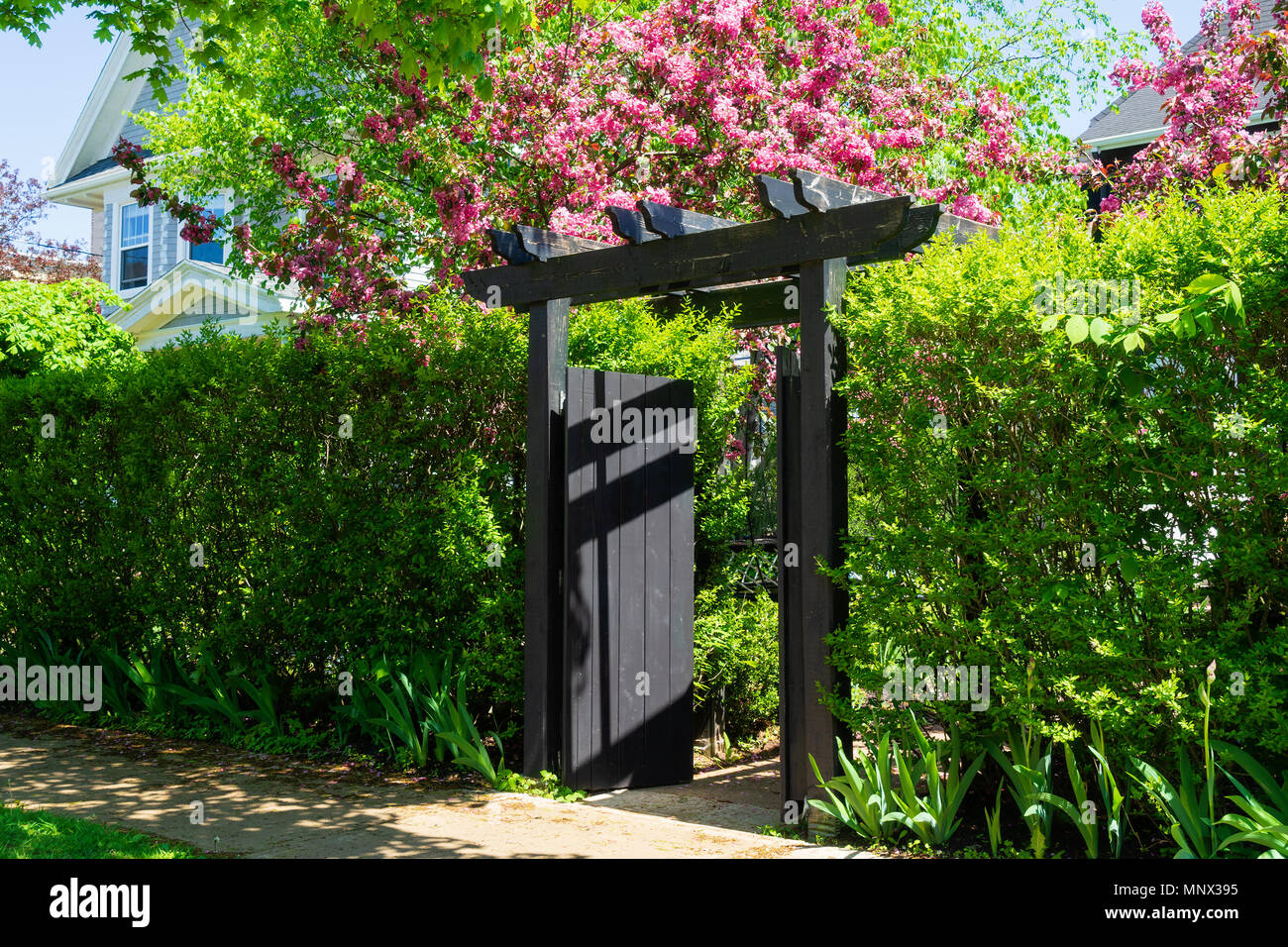 Hedge With Gate High Resolution Stock Photography and Images - Alamy