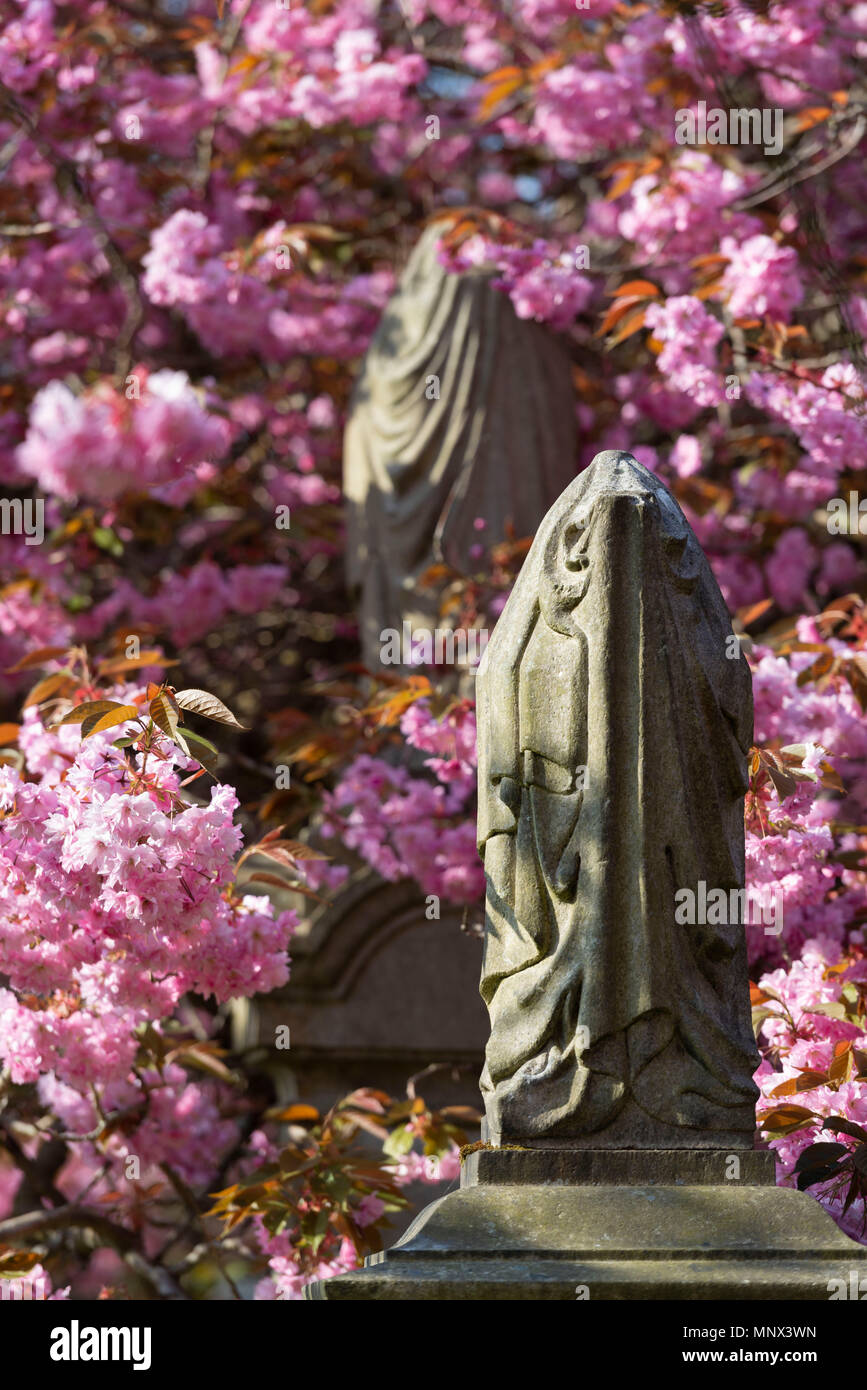 Scottish cemetery graveyard headstones hi-res stock photography and ...
