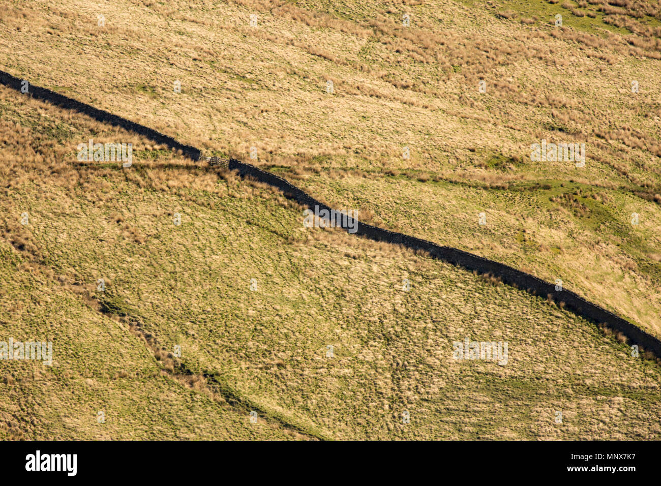 Decline in sheep farming hi-res stock photography and images - Alamy