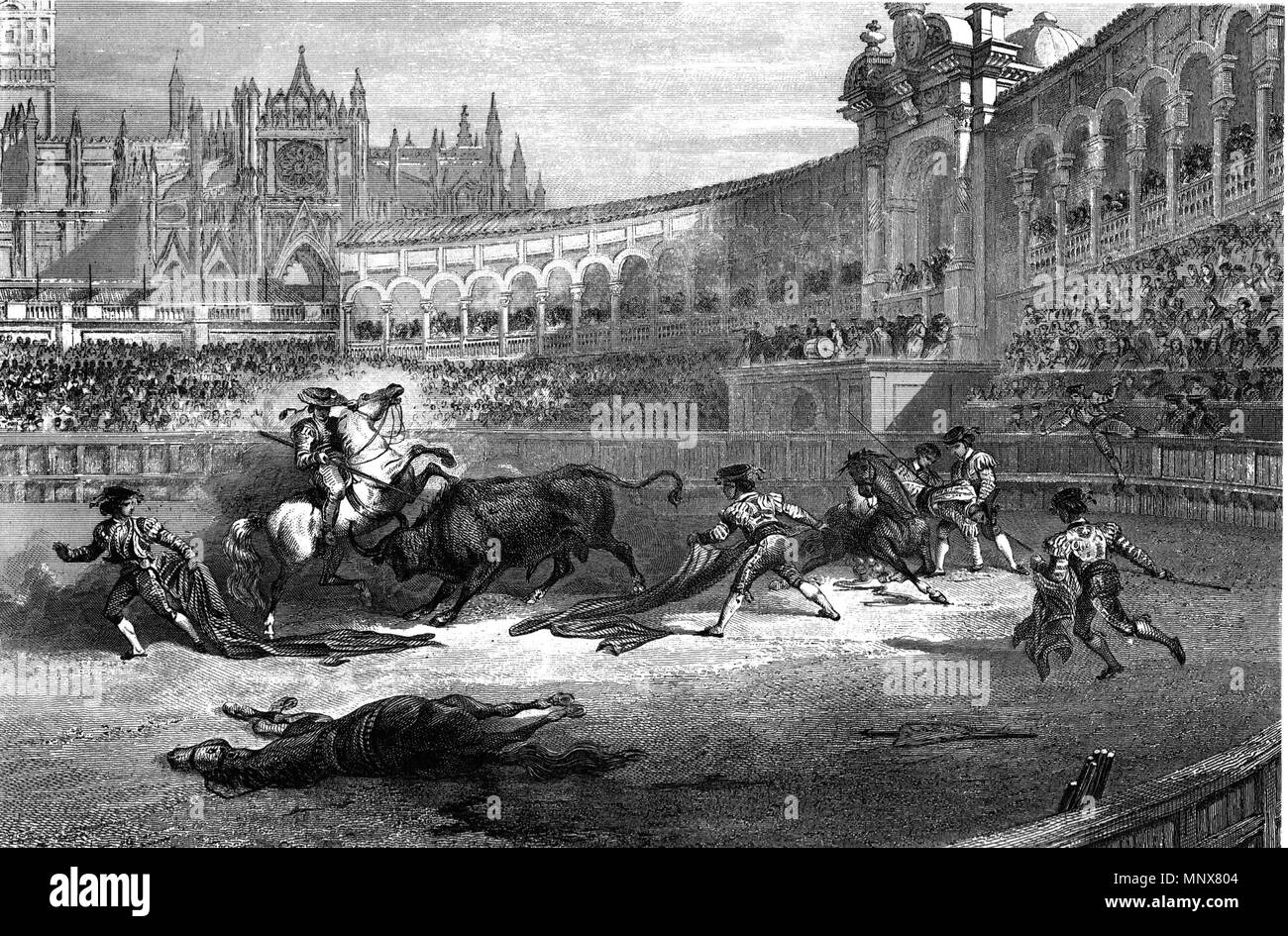 The bullfighting Black and White Stock Photos & Images - Alamy