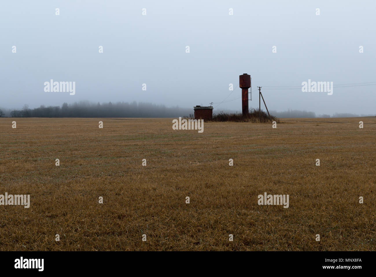 dry field in the spring in the fog Stock Photo - Alamy