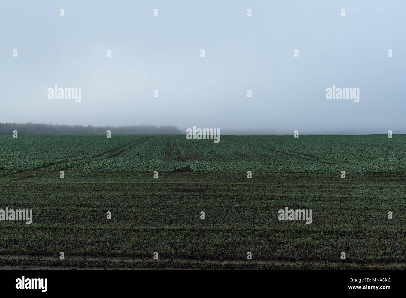 Space colors hi-res stock photography and images - Alamy