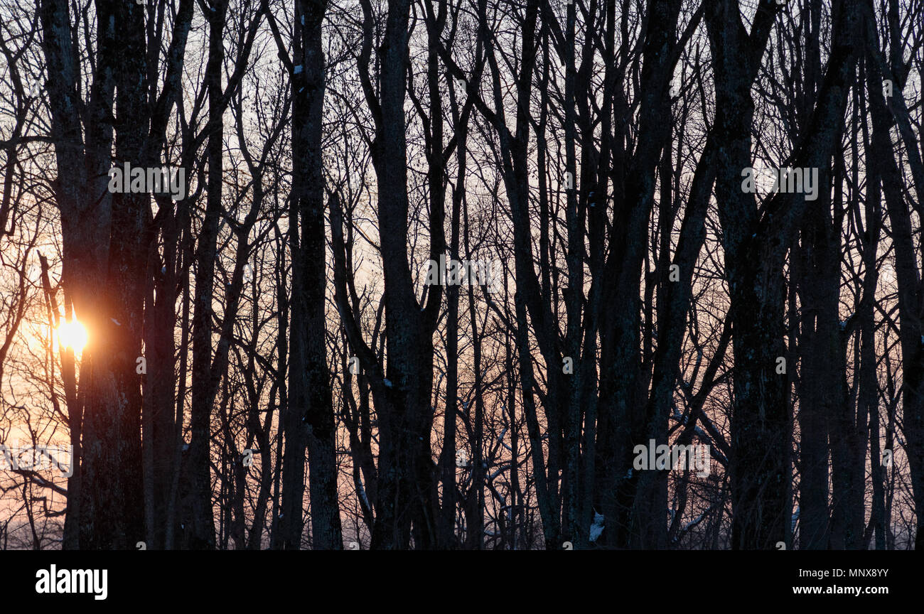 Dry through hi-res stock photography and images - Alamy