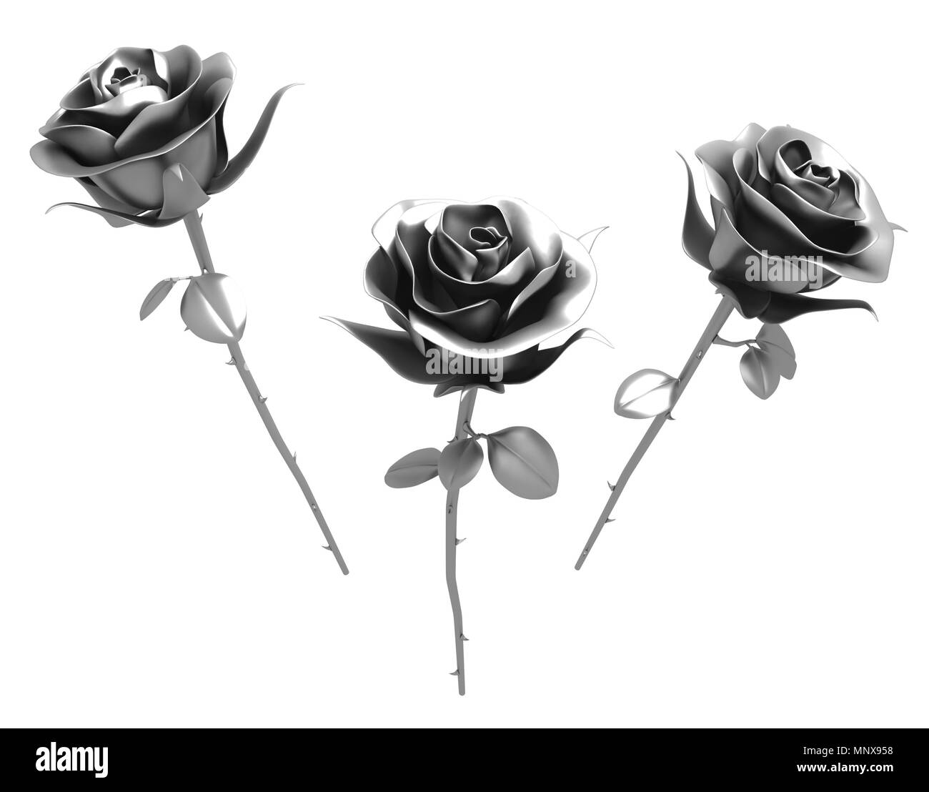 3d rose flower Black and White Stock Photos & Images - Alamy