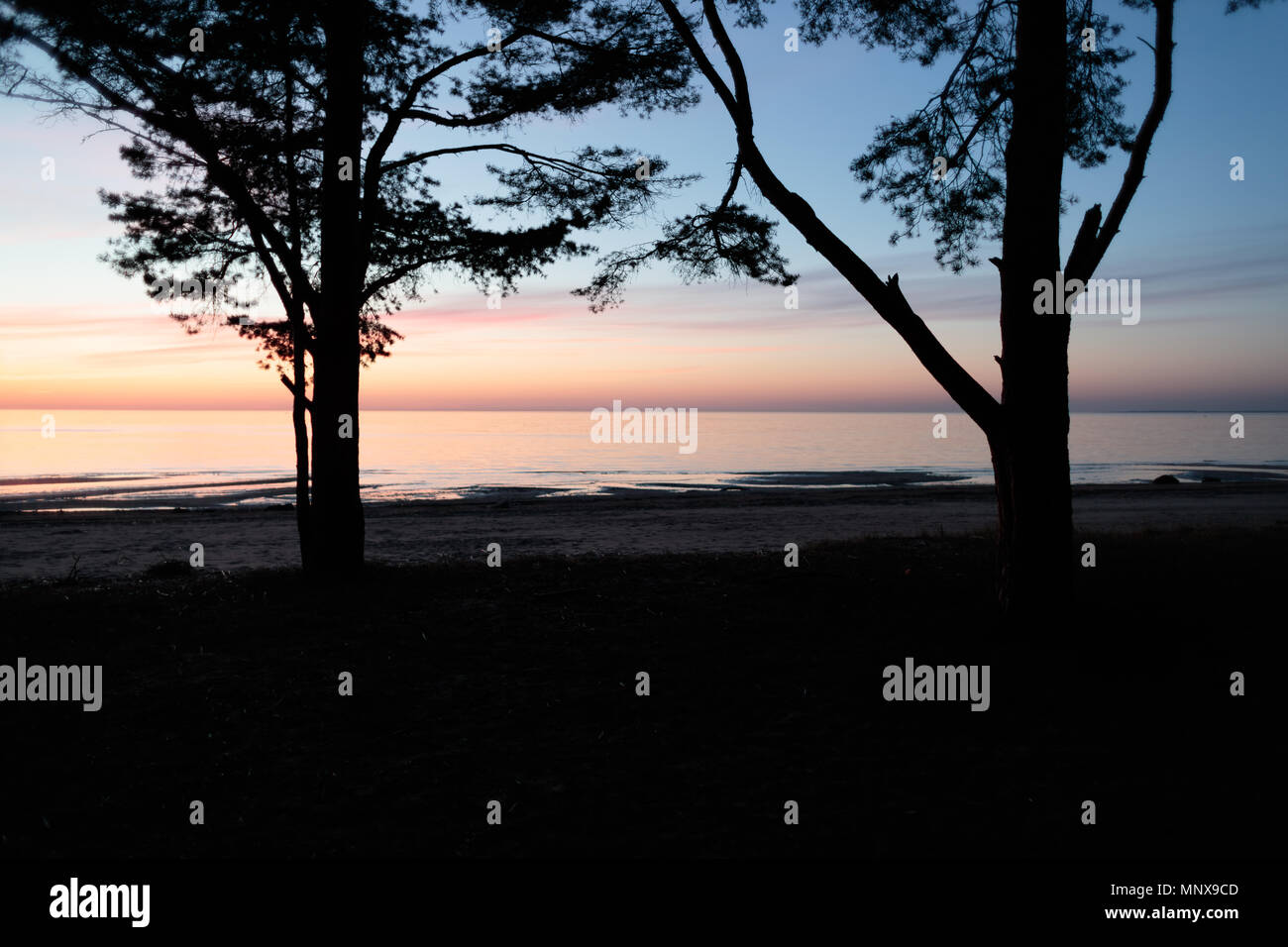 Two trees with a sunset hi-res stock photography and images - Alamy