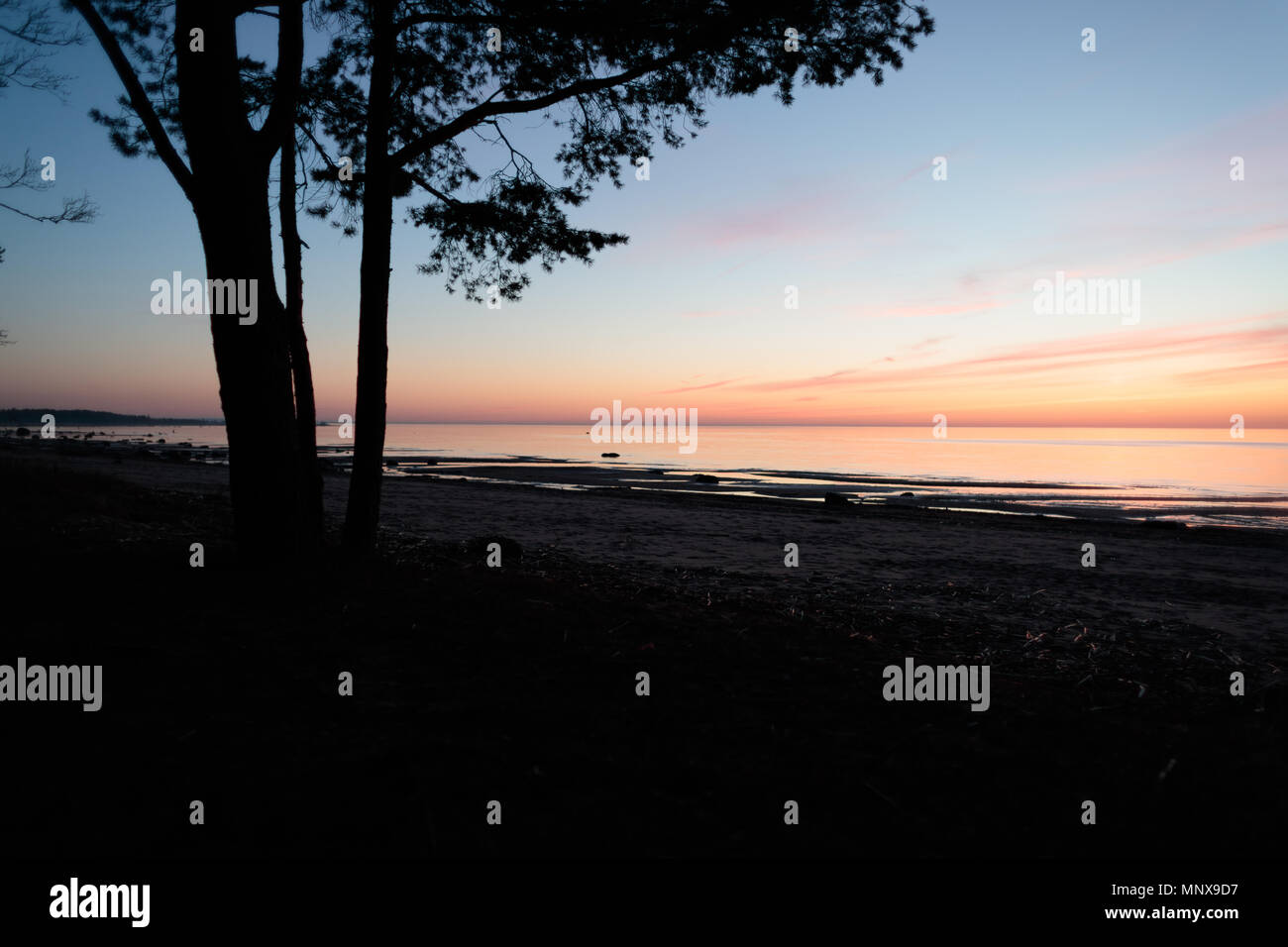 The real one hi-res stock photography and images - Alamy
