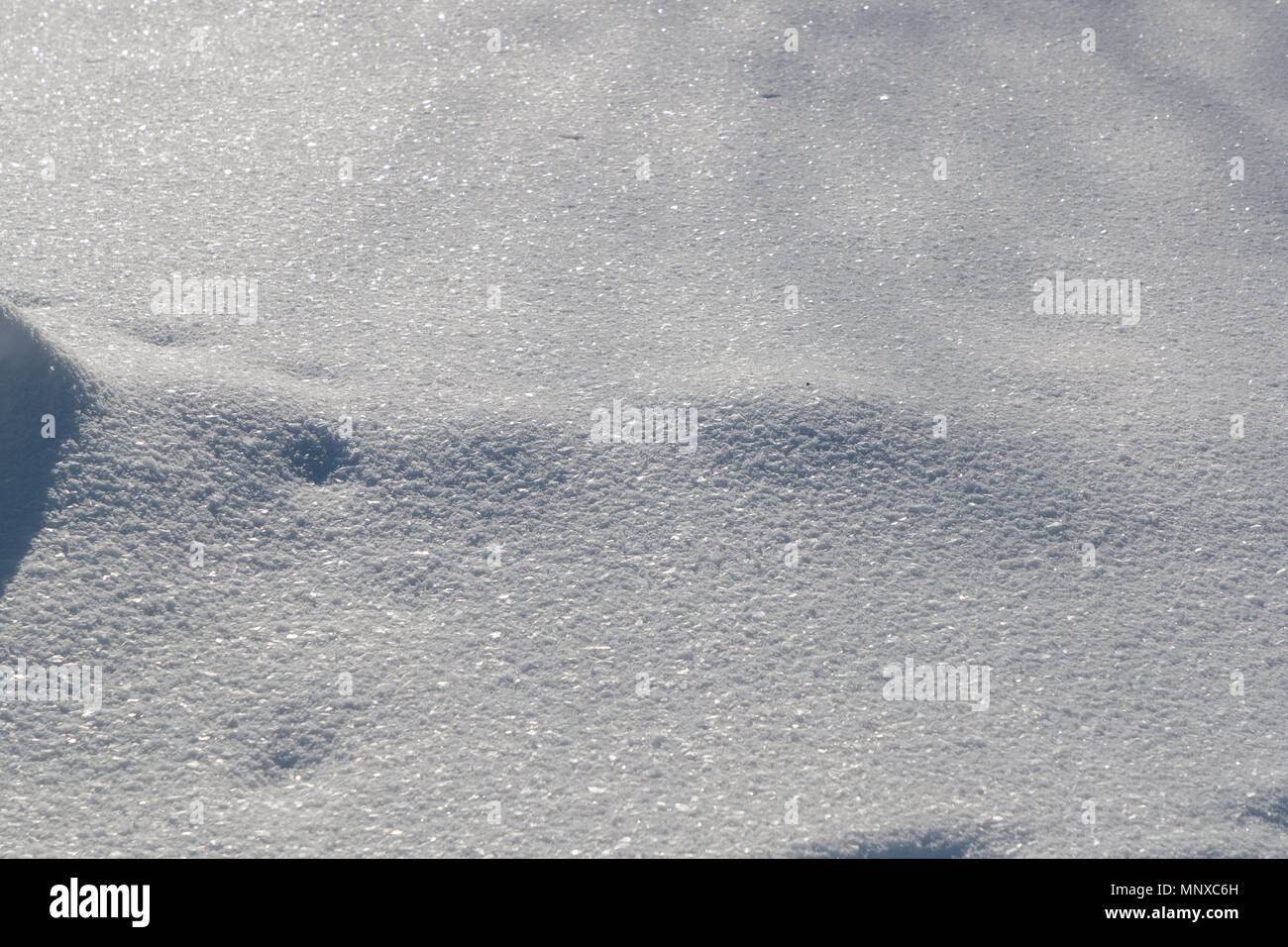 Real velvet hi-res stock photography and images - Alamy