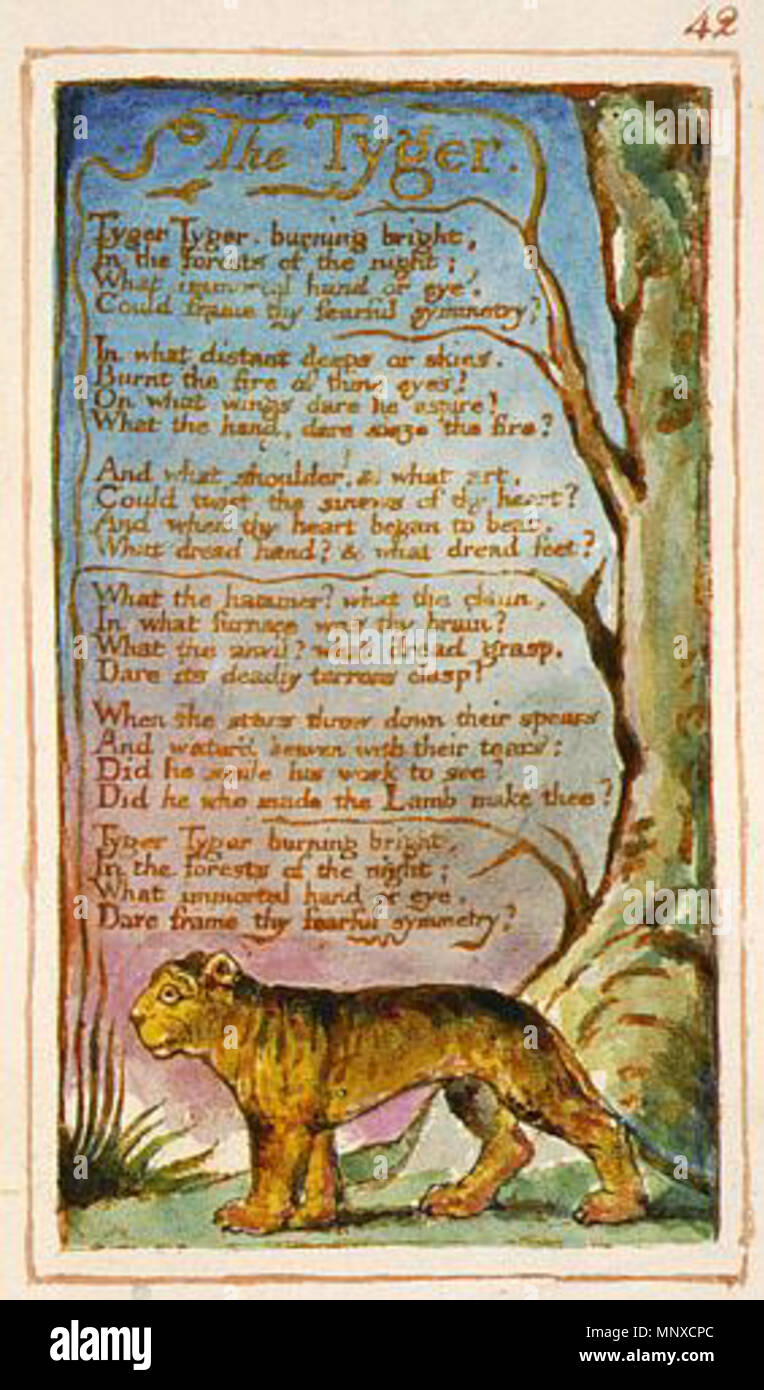 ‘the tyger’ by william blake hi-res stock photography and images - Alamy