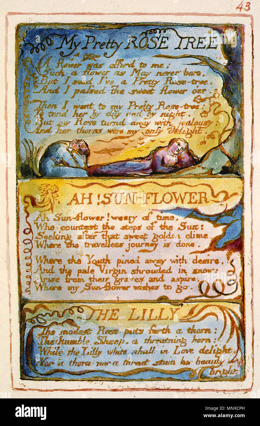 William blake songs of innocence rose hi-res stock photography and ...