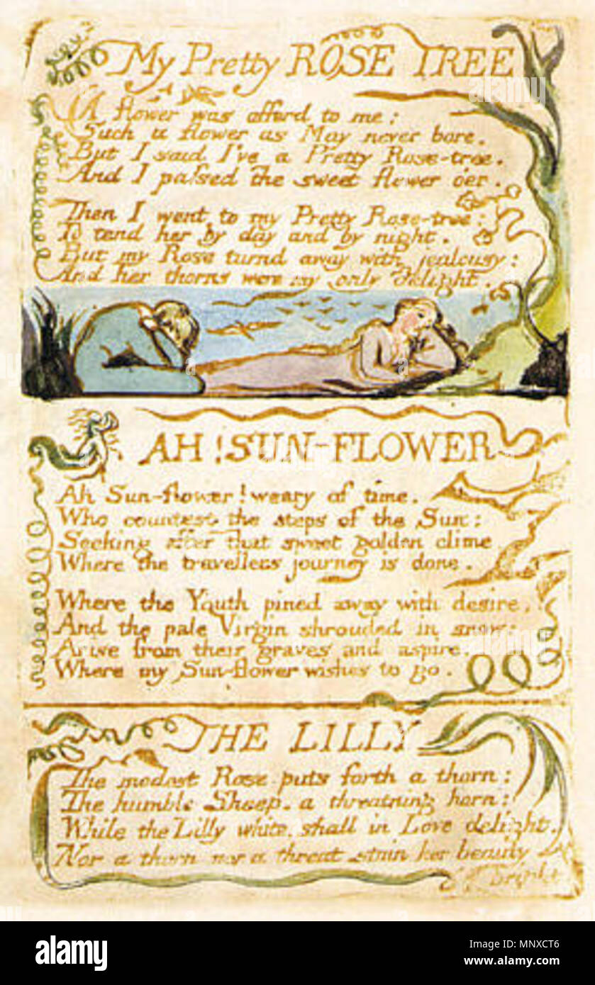 William blake songs of innocence rose hi-res stock photography and ...