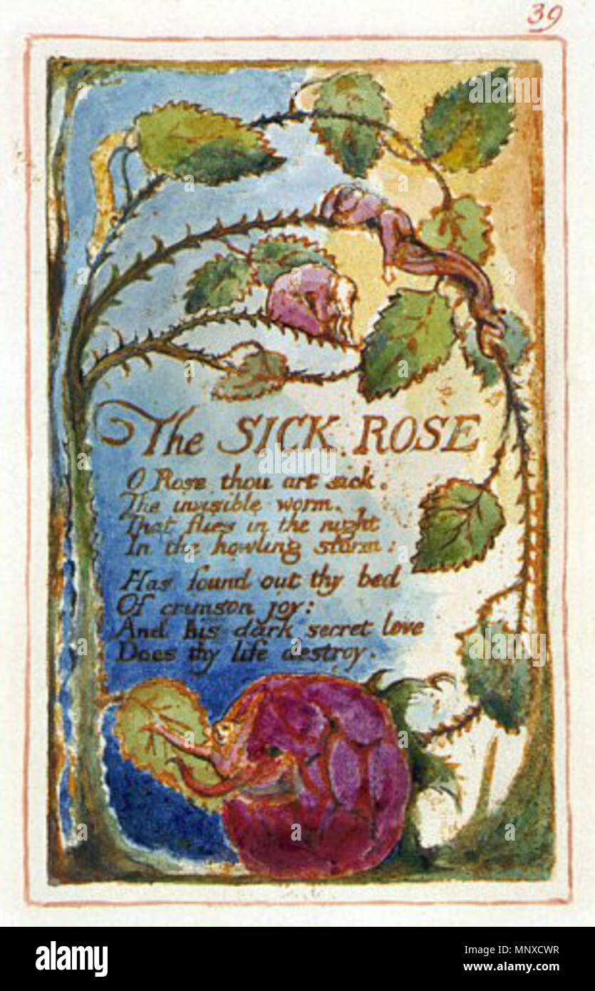 William blake the sick rose hi-res stock photography and images - Alamy