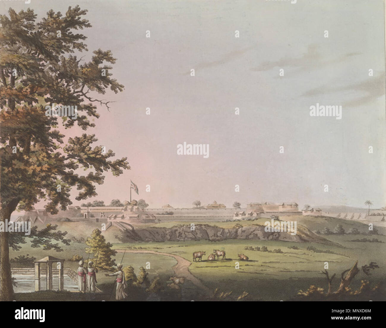 Haider ali hi-res stock photography and images - Alamy