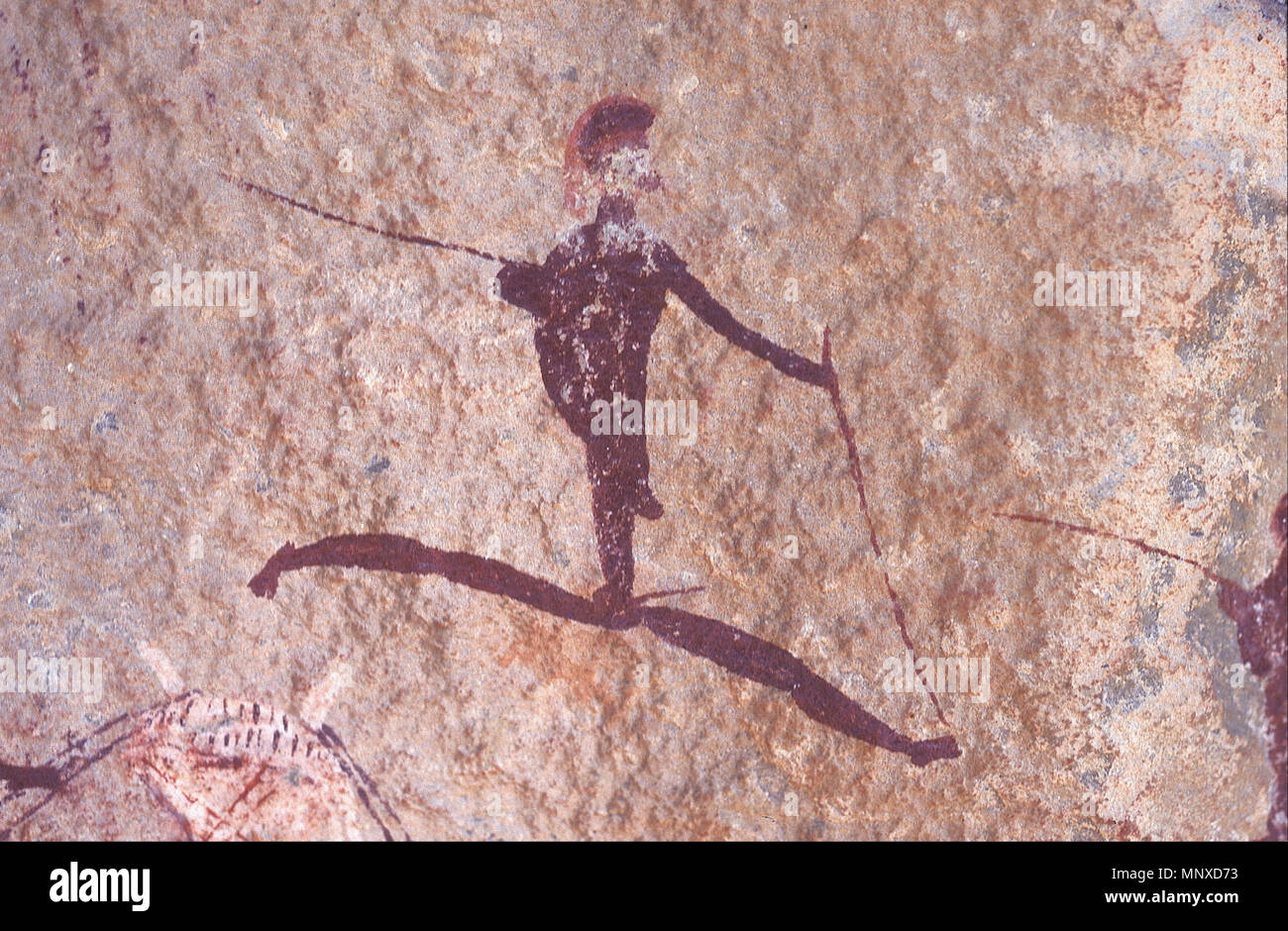 Eland engraving hi-res stock photography and images - Alamy
