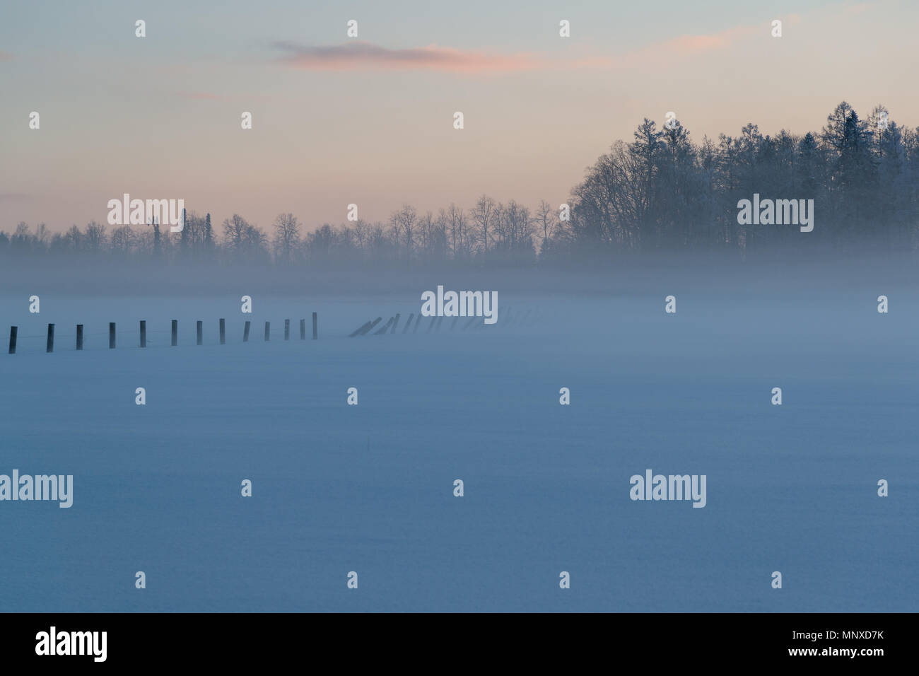 snowfield with boarded low posts Stock Photo - Alamy