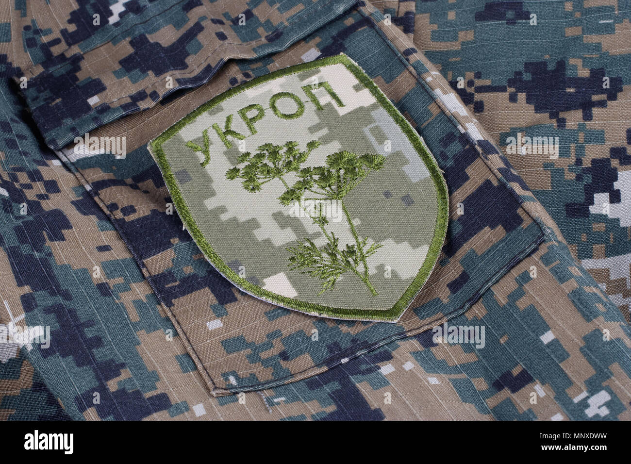 KIEV, UKRAINE - Apr. 26, 2015. Ukraine Army unofficial uniform badge ...