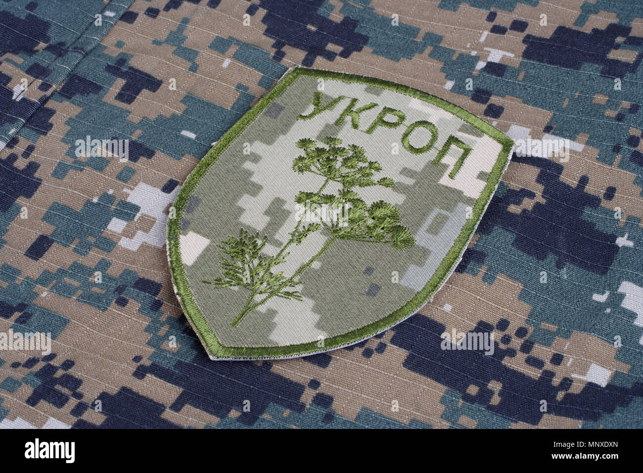 KIEV, UKRAINE - Apr. 26, 2015. Ukraine Army unofficial uniform badge ...