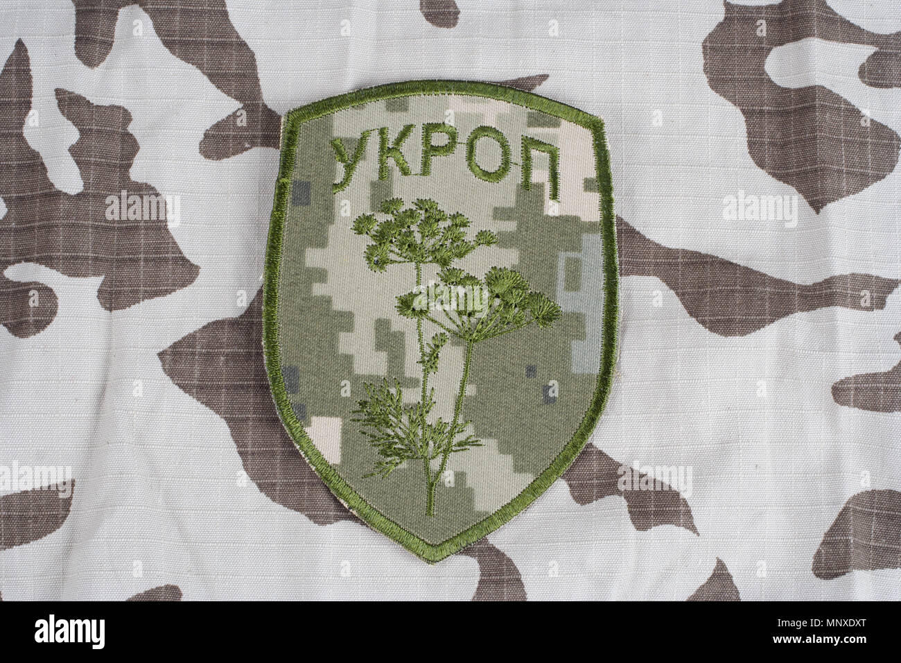 KIEV, UKRAINE - Apr. 26, 2015. Ukraine Army unofficial uniform badge ...
