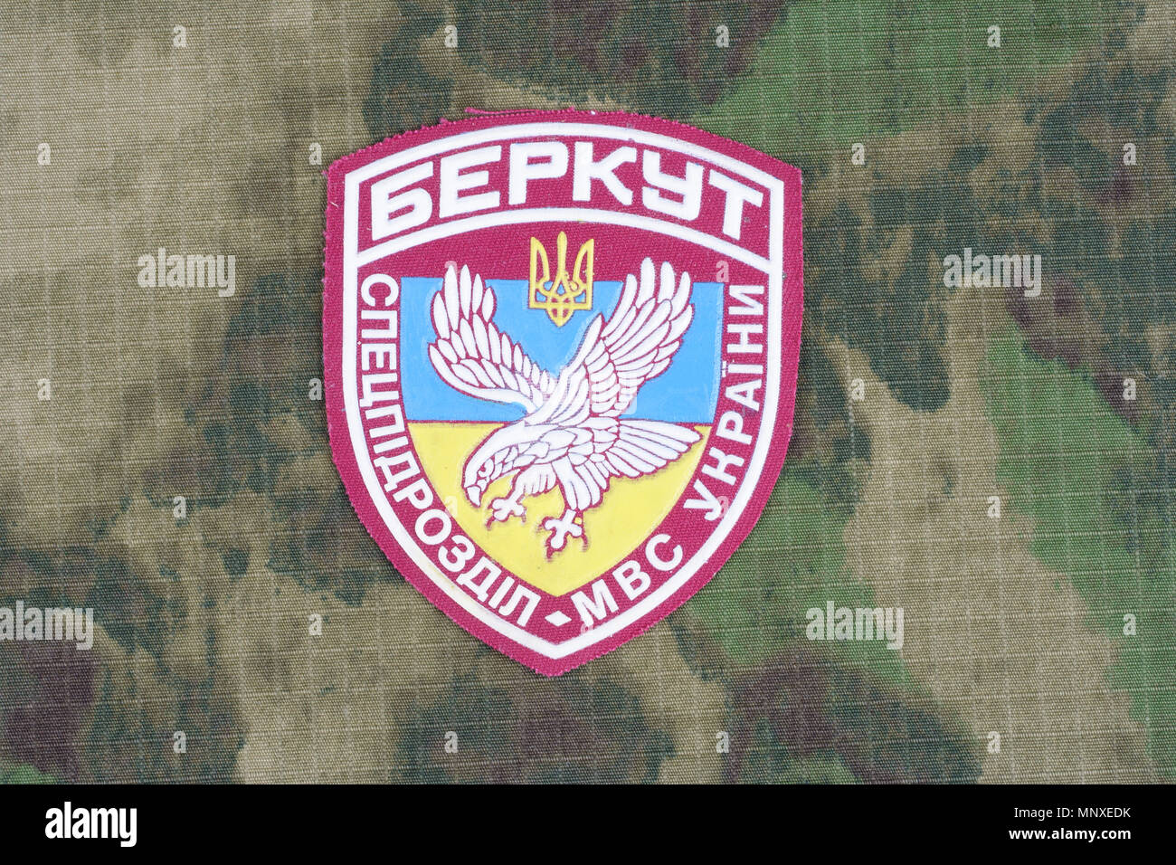 KIEV, UKRAINE - Apr. 26, 2015. Ukraine Riot Police "Berkut" uniform ...