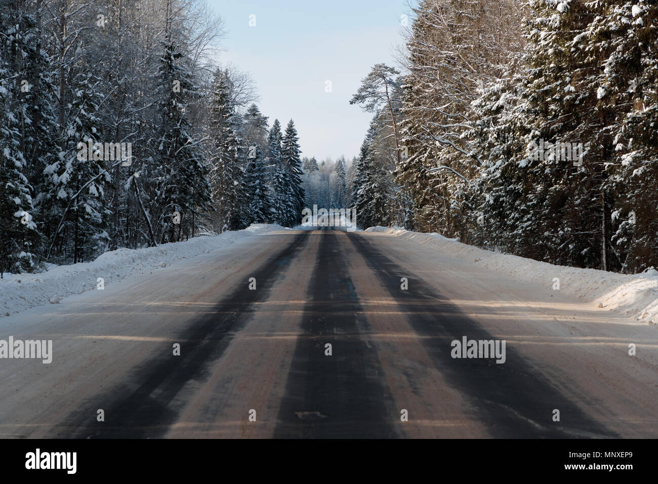 track in winter time in the middle of the forest Stock Photo - Alamy