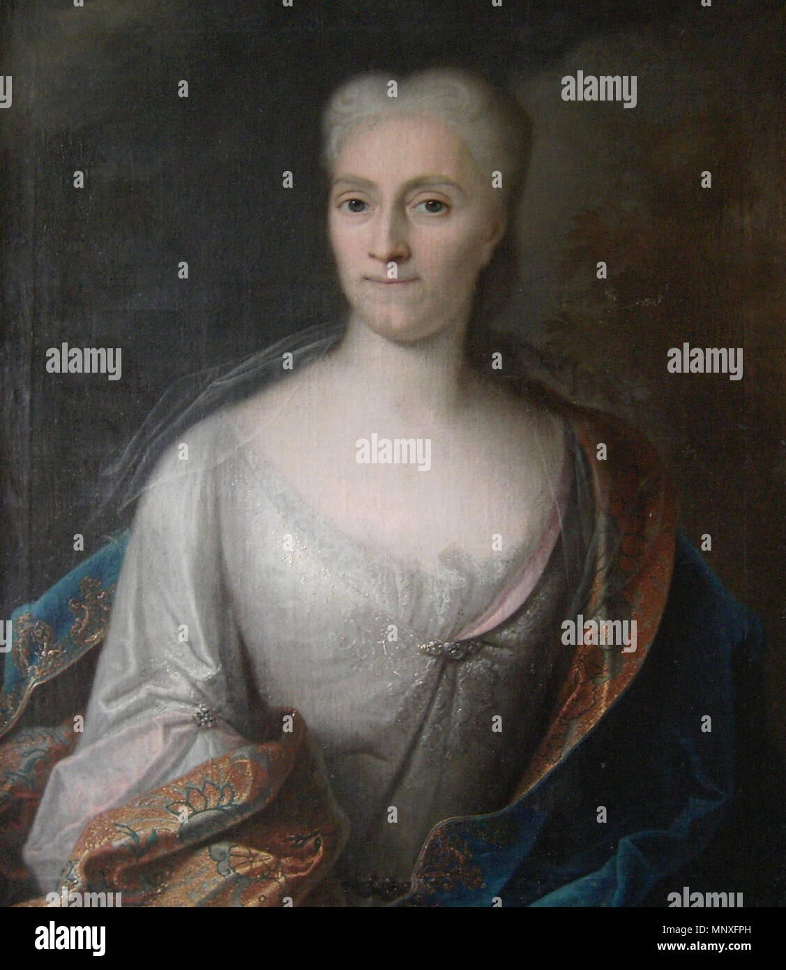 Anna constantia hi-res stock photography and images - Alamy