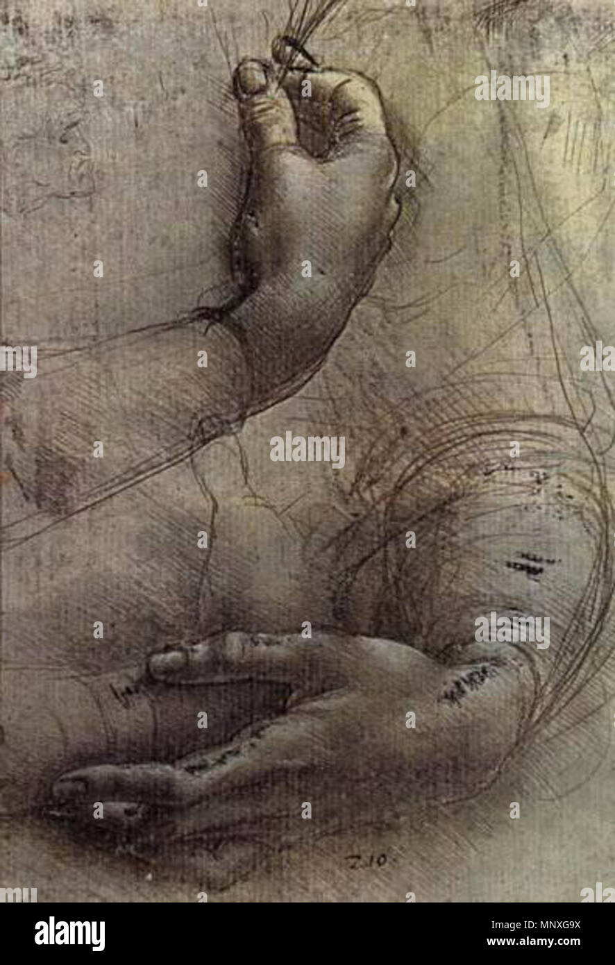 . English: Study of Arms and Hands, a sketch by da Vinci popularly ...