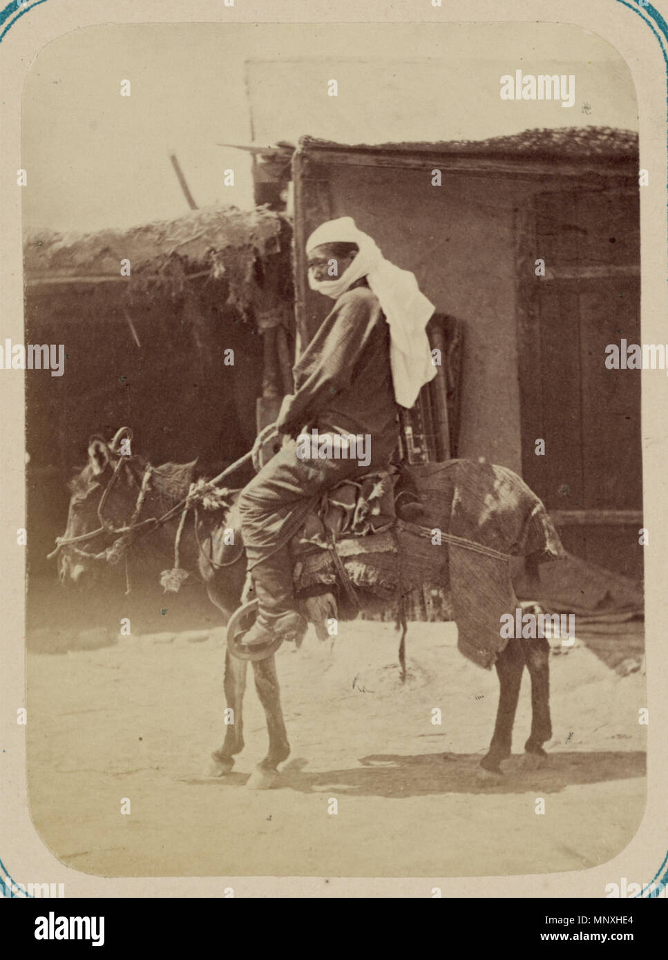 Burro español hi-res stock photography and images - Alamy