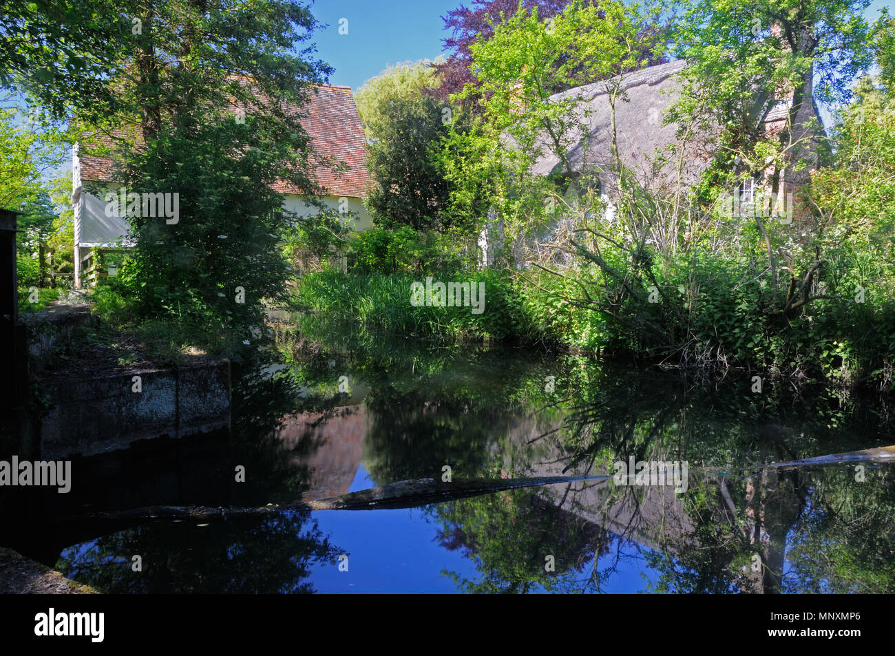 Cambridge ppf hi-res stock photography and images - Alamy