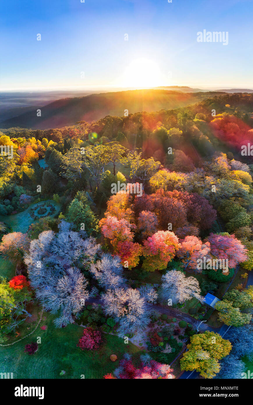 Mount wilson nsw australia hi-res stock photography and images - Alamy