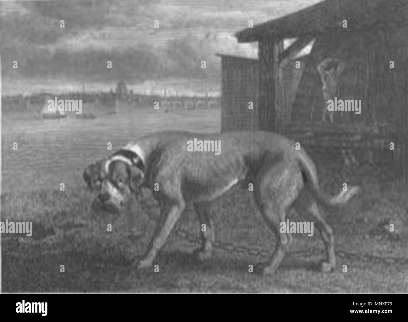 Philip reinagle hi-res stock photography and images - Alamy