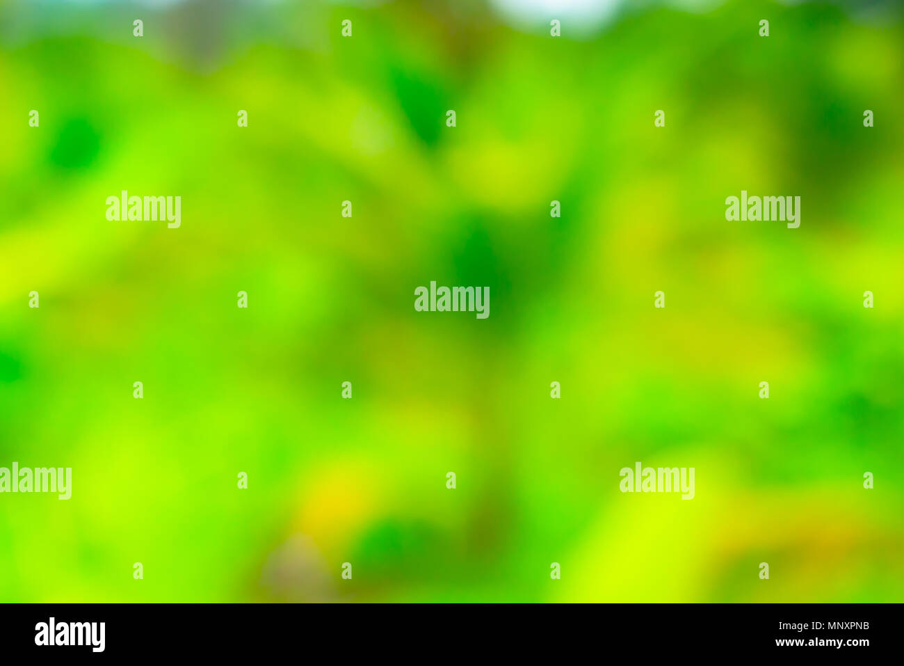 Blur grain texture hi-res stock photography and images - Alamy