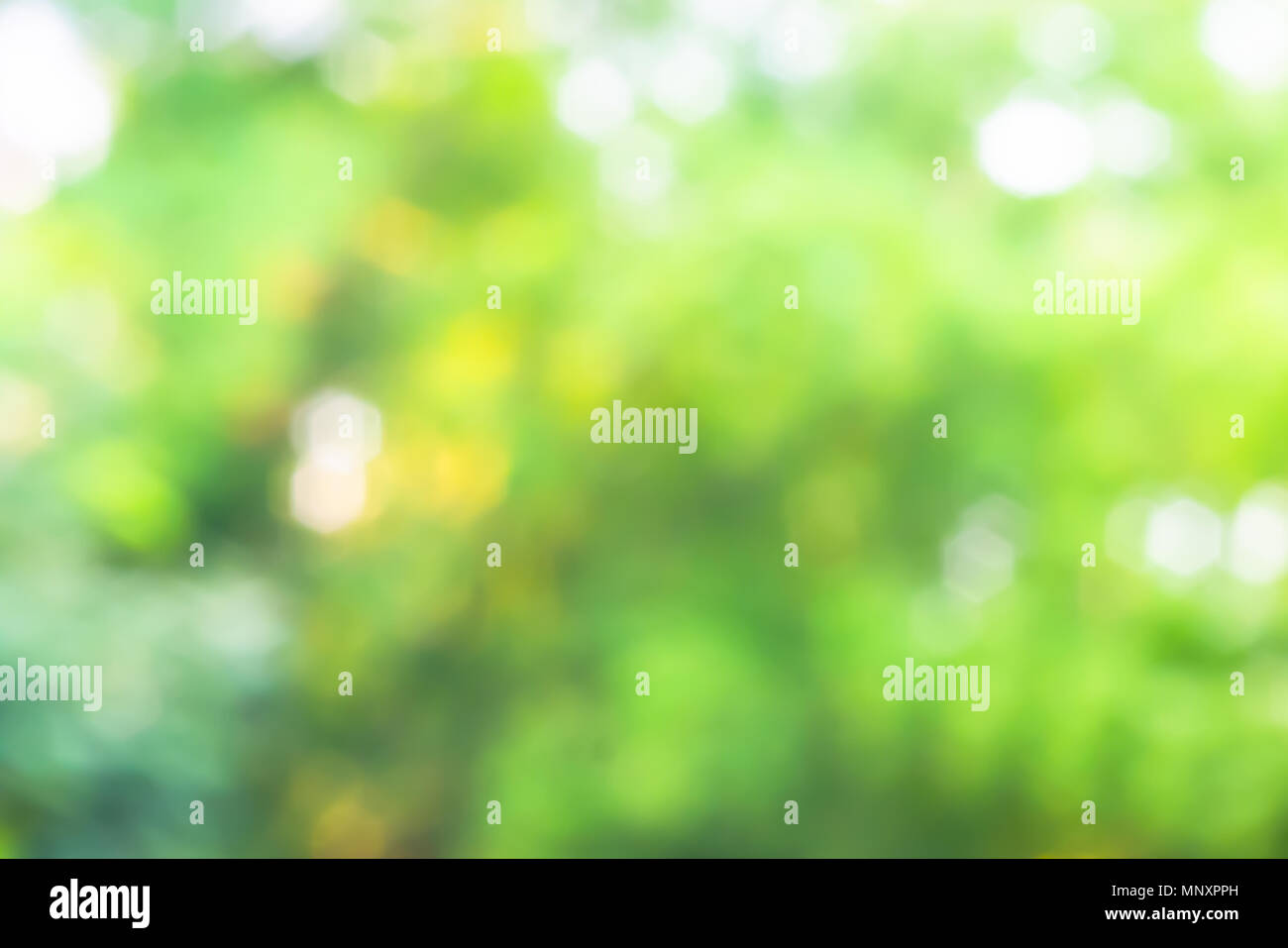 Blur grain texture hi-res stock photography and images - Alamy