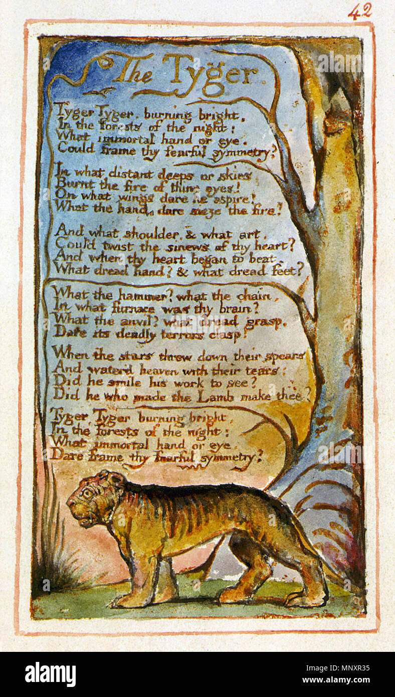 ‘the tyger’ by william blake hi-res stock photography and images - Alamy