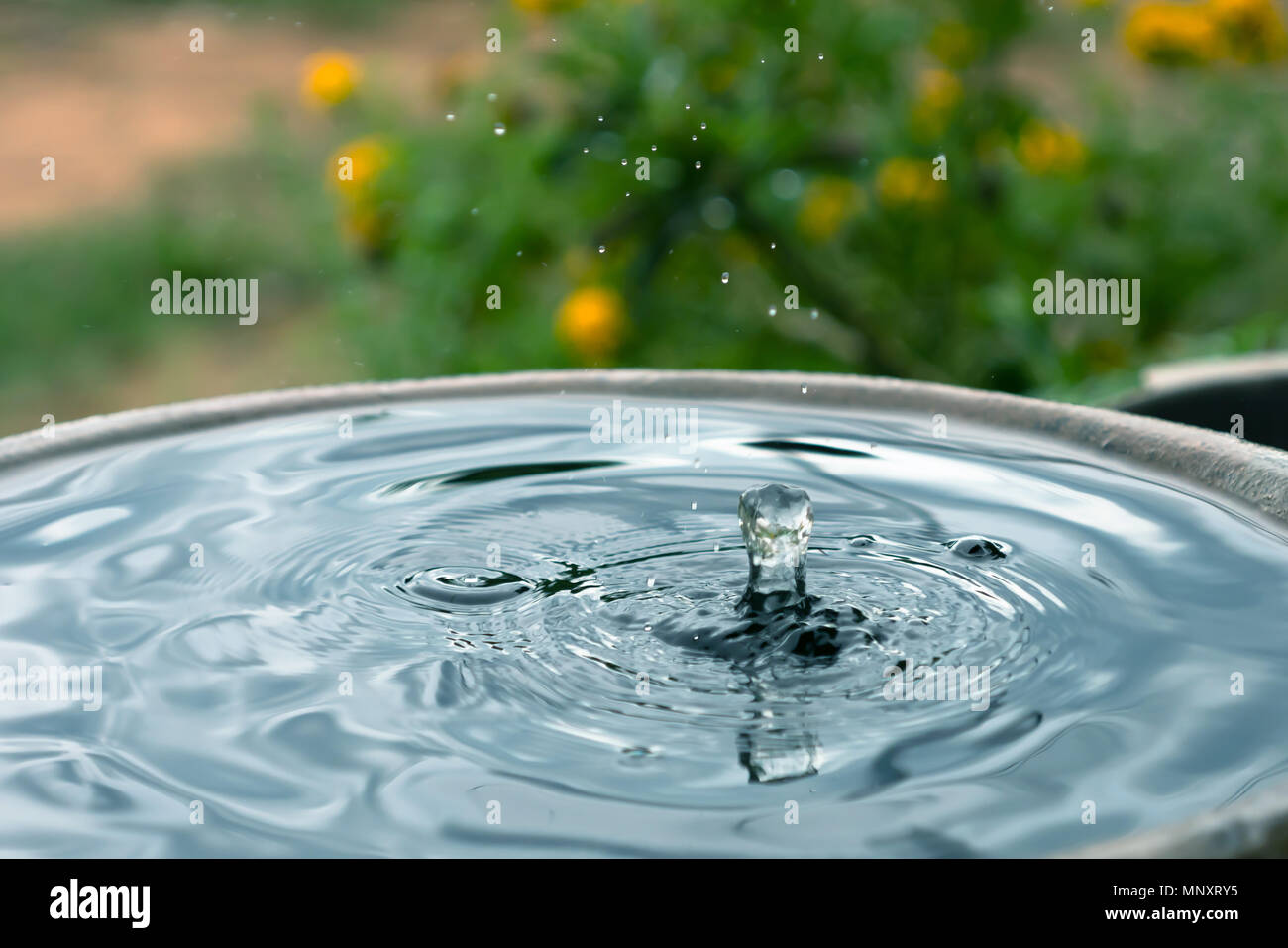 raining dripping on the jar and blur background with copy space Stock ...