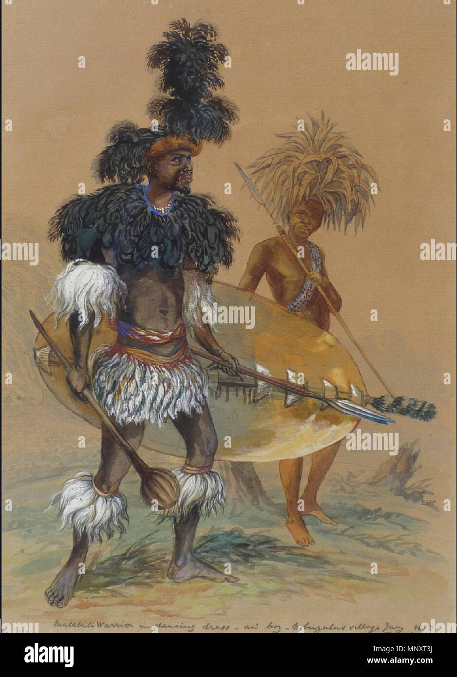 English: Matebele warrior in dancing dress 1870. 1187 Thomas Baines ...