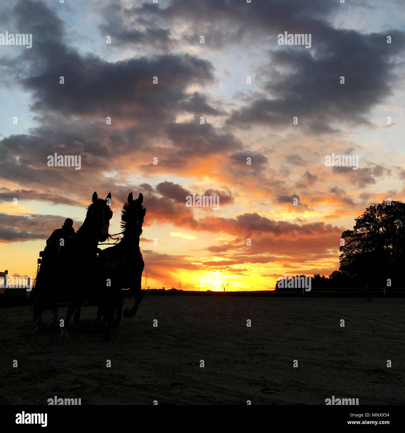 horse racer in the sunset Stock Photo - Alamy