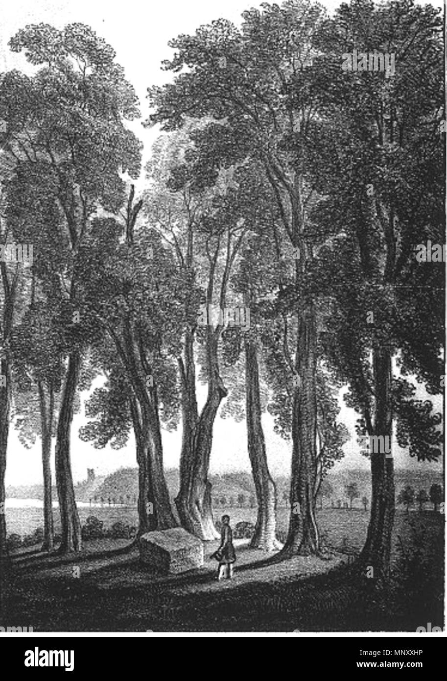 Socinus hi-res stock photography and images - Alamy