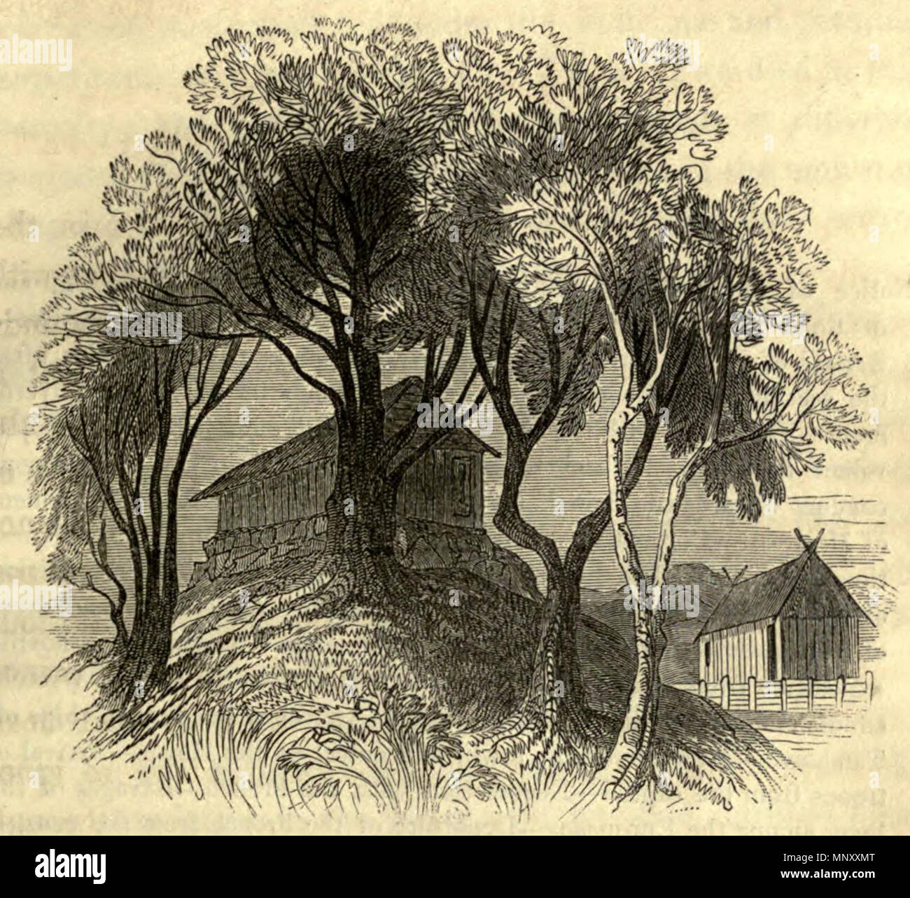 June ellis hi-res stock photography and images - Alamy