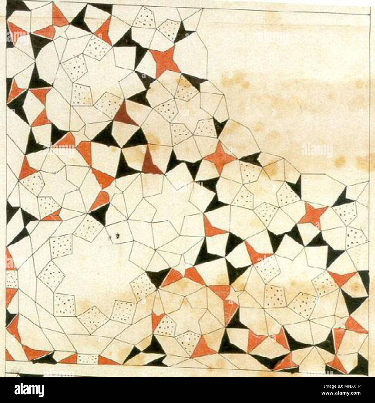 . English: Two-dimensional Fan-shaped radial muqarnas quarter vault ...