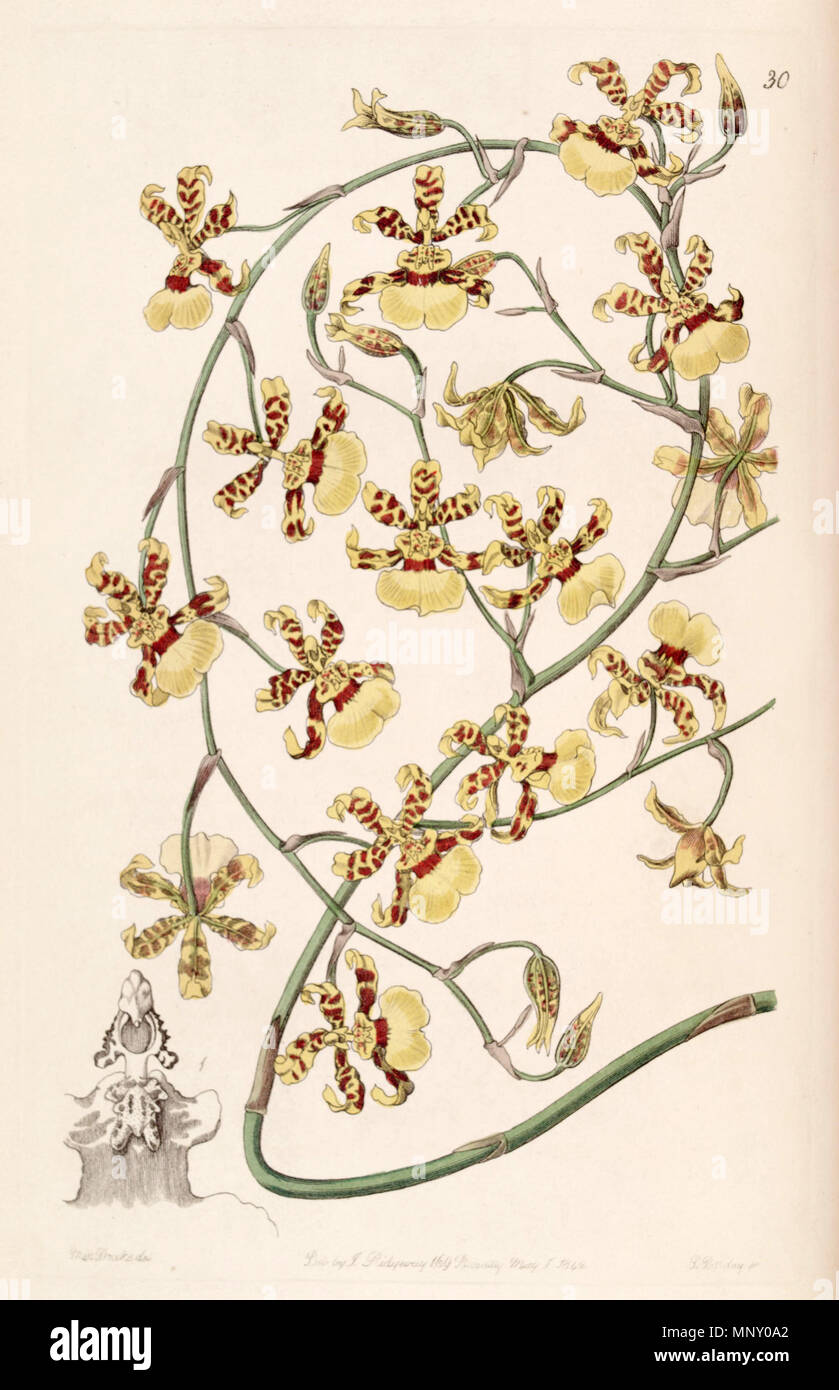 Miss barclay hi-res stock photography and images - Alamy