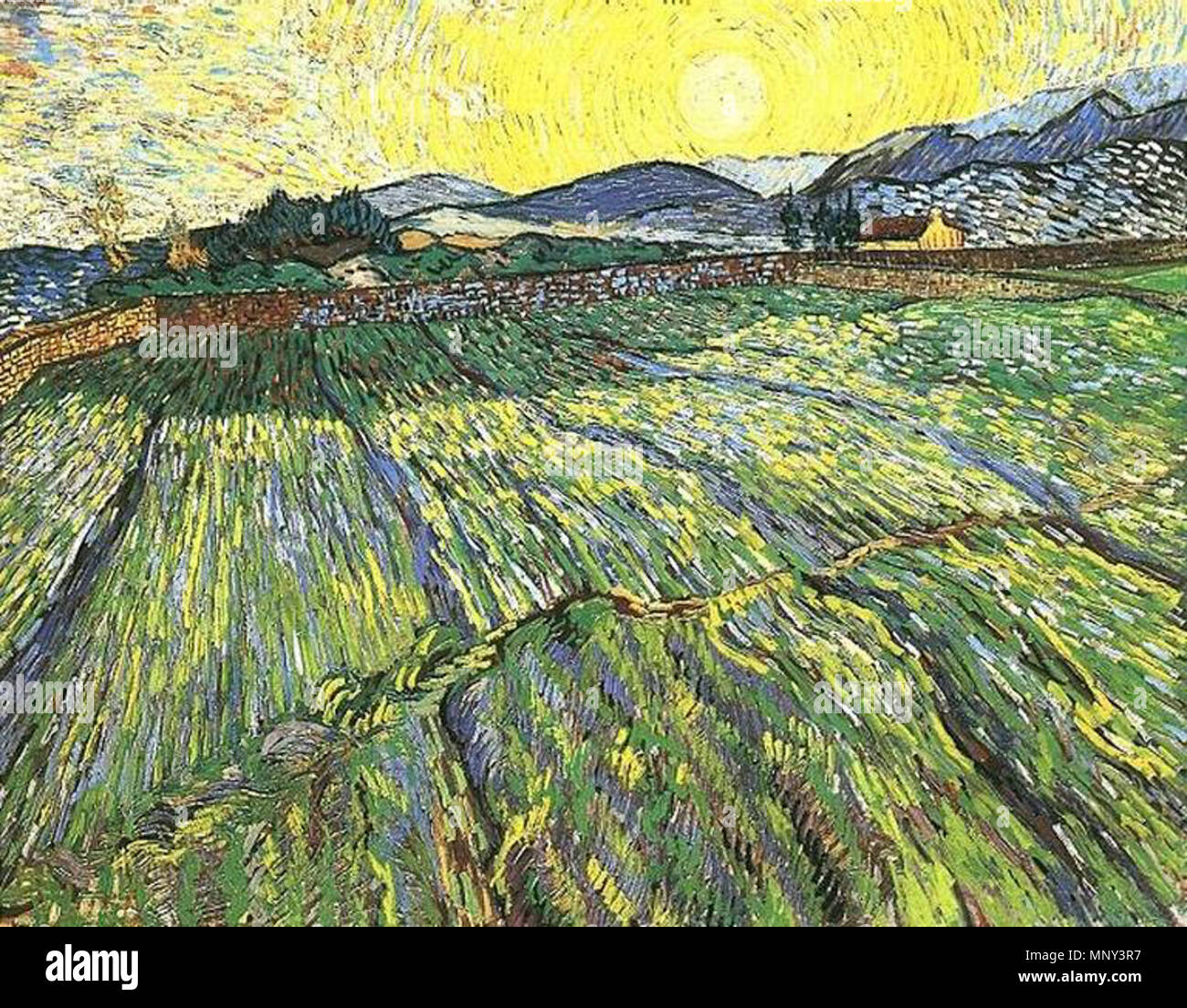 Vincent van gogh 1853 1890 dutch the netherlands hi-res stock ...