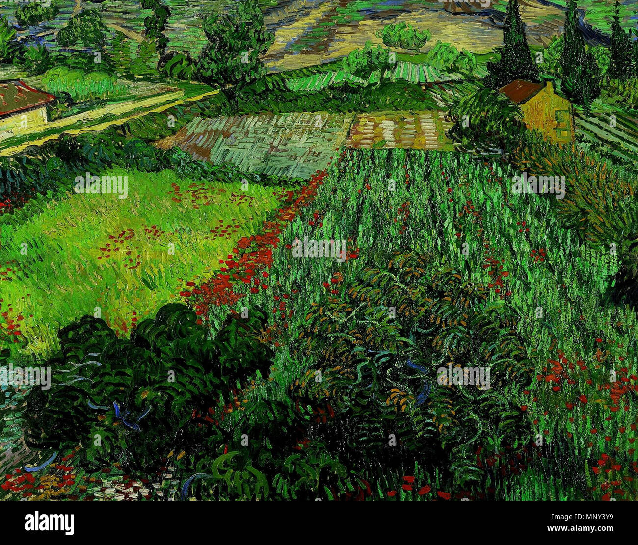 huGO-BildID: 6157733 "Mohnfeld" von van Gogh Field with Poppies Saint ...