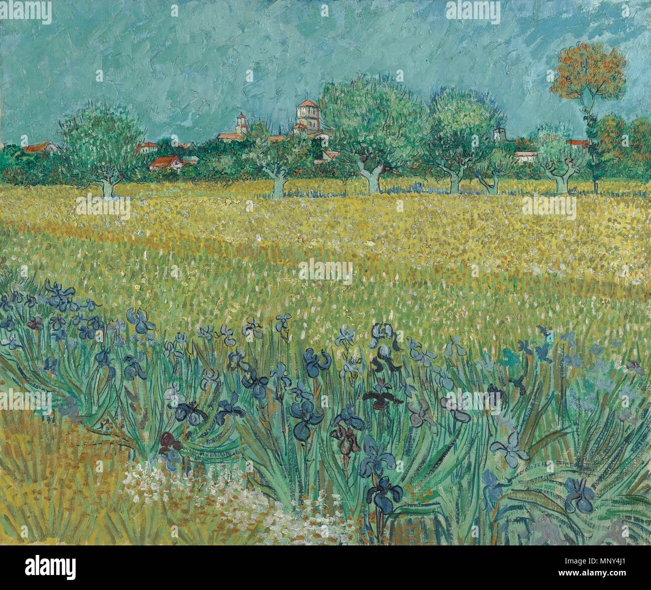 English: Field with Irises near Arles Nederlands: Veld met irissen bij ...