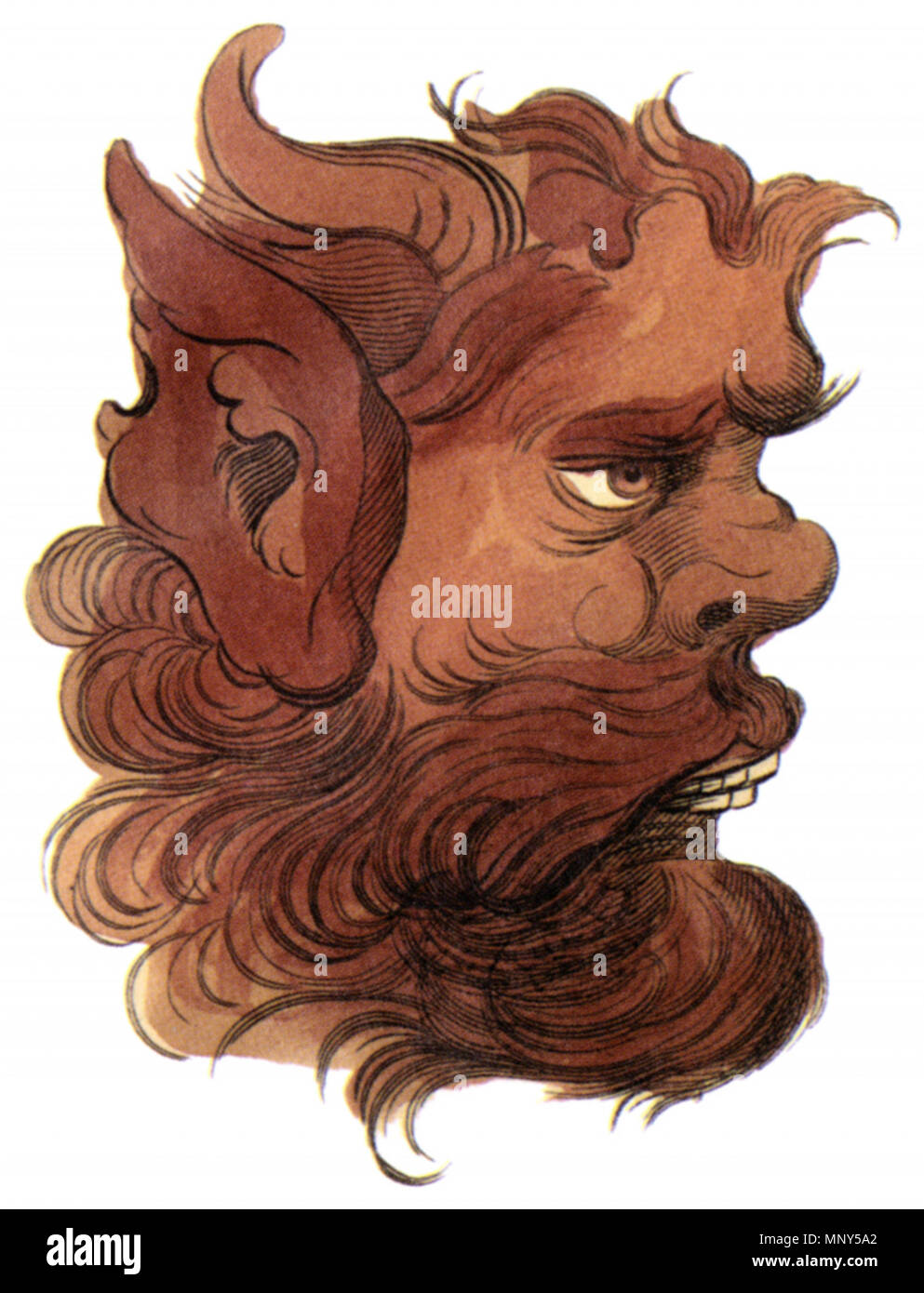 Theutus hi-res stock photography and images - Alamy