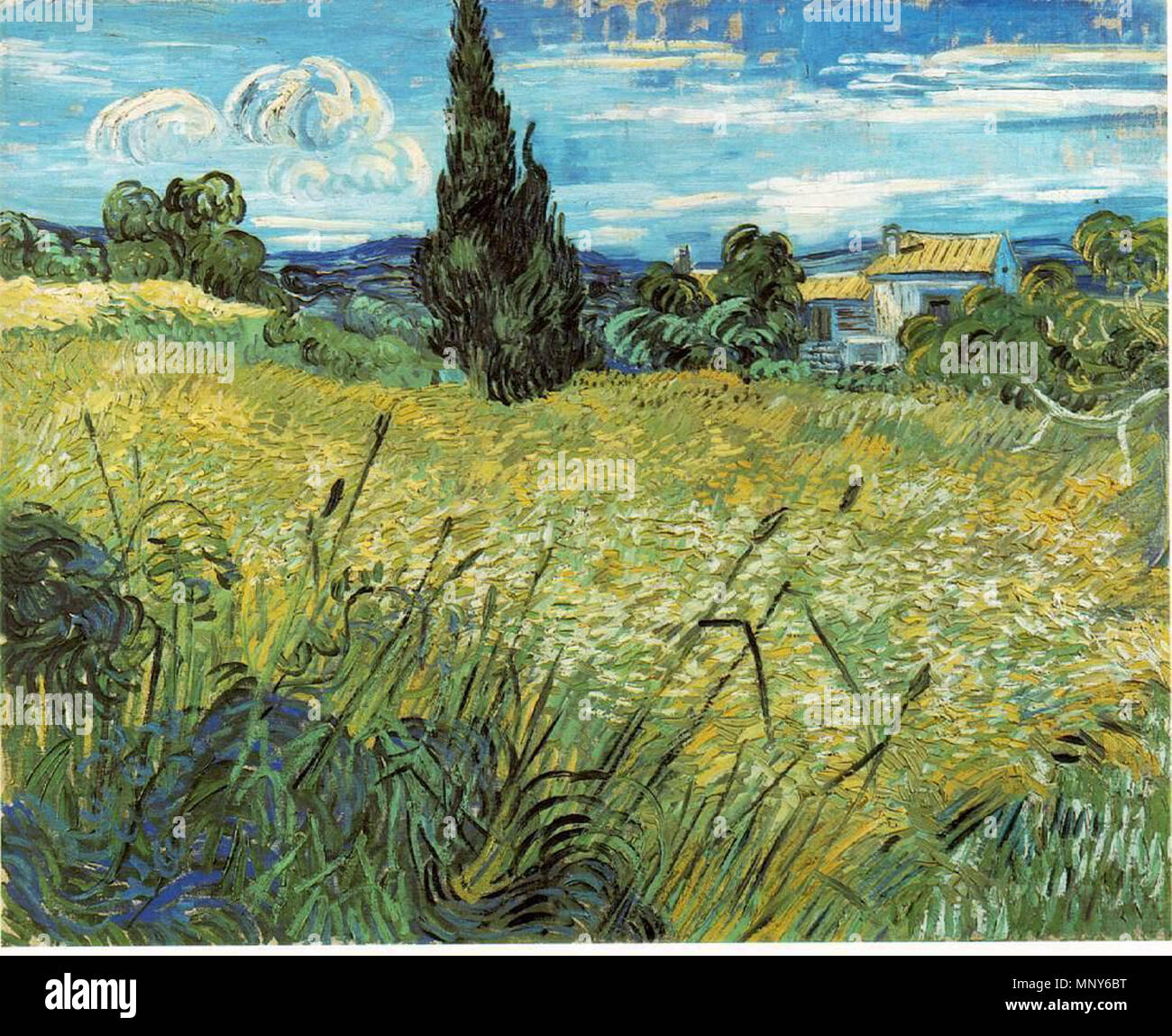Green Wheat Field Van Gogh