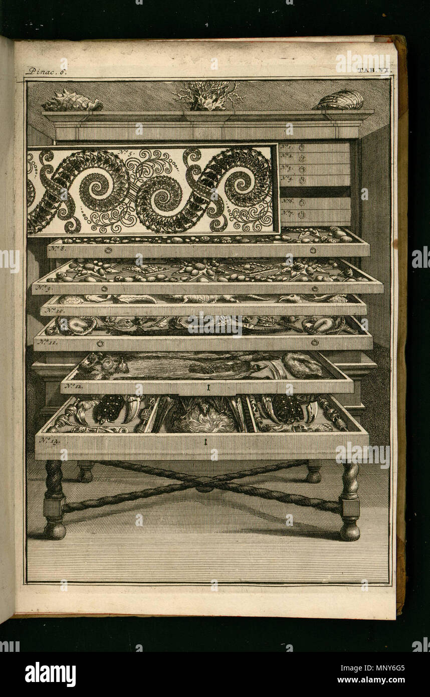 . Illustration from the book, Wondertooneel der Nature - a Cabinet of ...