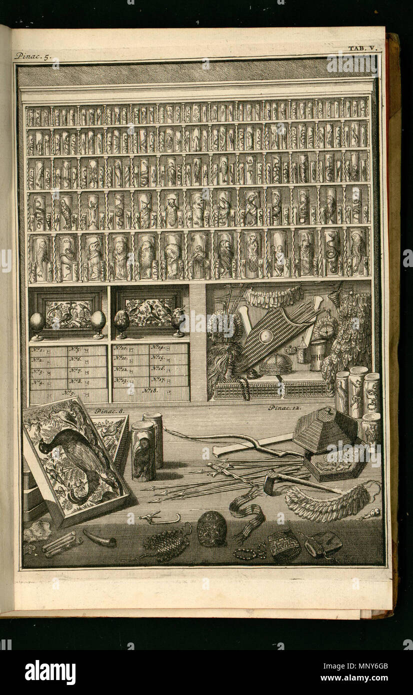 Curiosities cabinet hi-res stock photography and images - Alamy