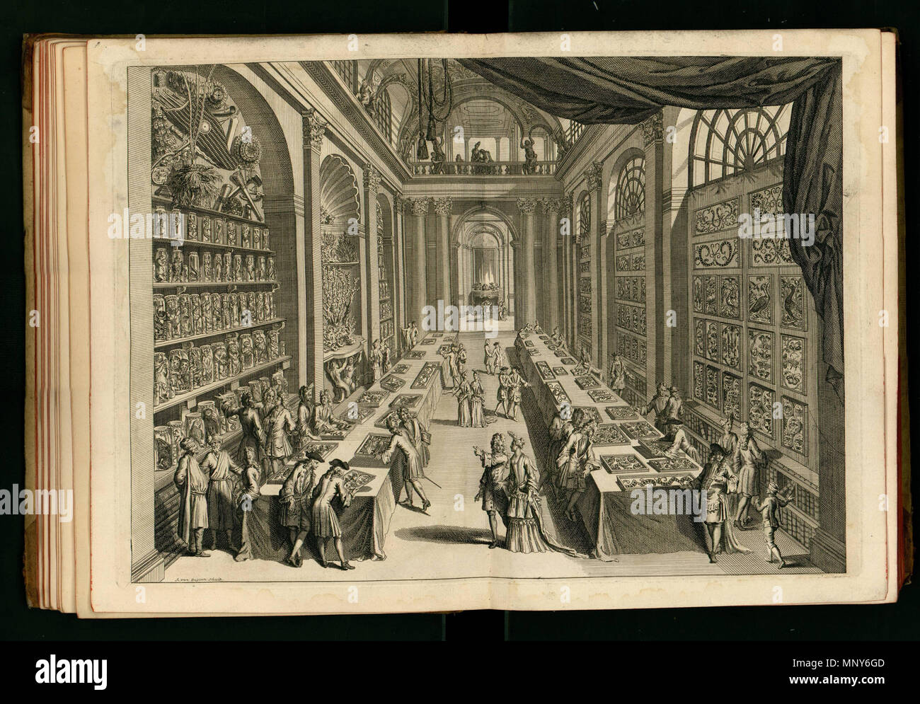 Cabinet of curiosities nature hi-res stock photography and images - Alamy